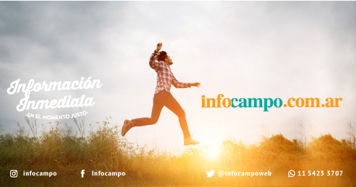 Infocampo - Noticias del campo en el momento justo.