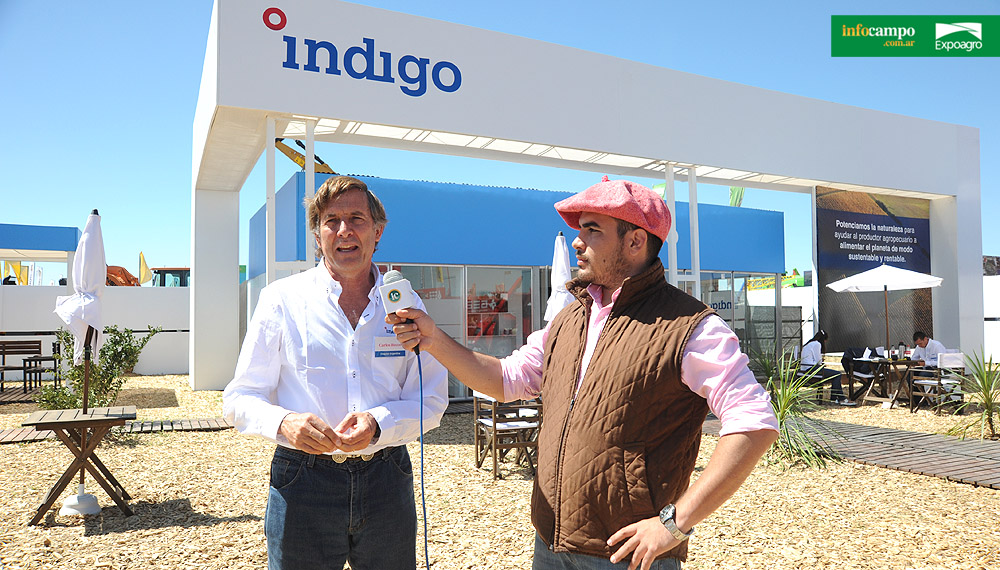 Indigo: la firma que busca revolucionar la agricultura a través de los ...