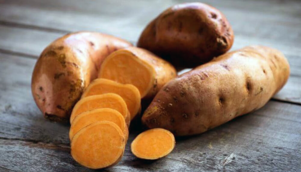 Qué es el Boniato o batata zanahoria, el cultivo de Uruguay