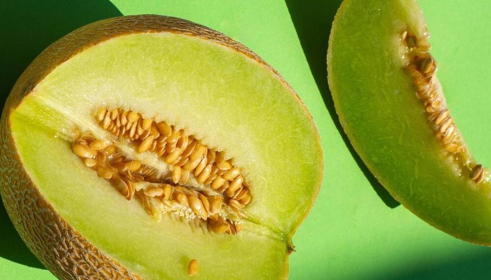 Melón: qué tener en cuenta y cuáles son los requerimientos a la hora de ...