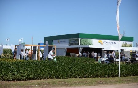 Dos nuevas variedades de DONMARIO de cara a la próxima siembra de trigo ...
