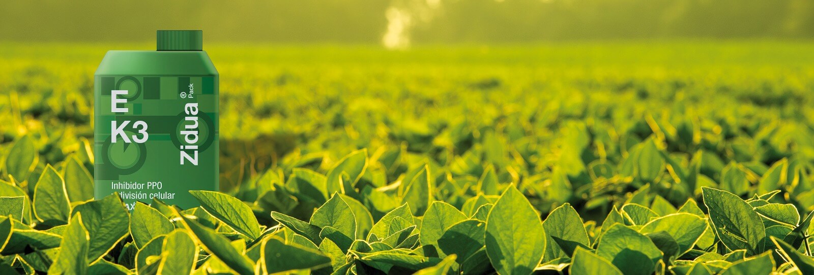 El Niño, las malezas también quieren recuperar protagonismo