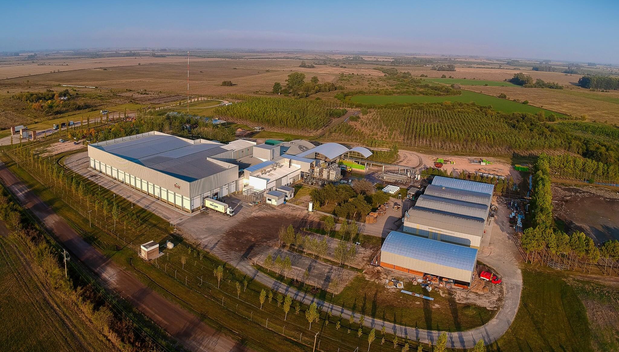 Producción avícola: un día en una planta productora de huevos y pollos ...