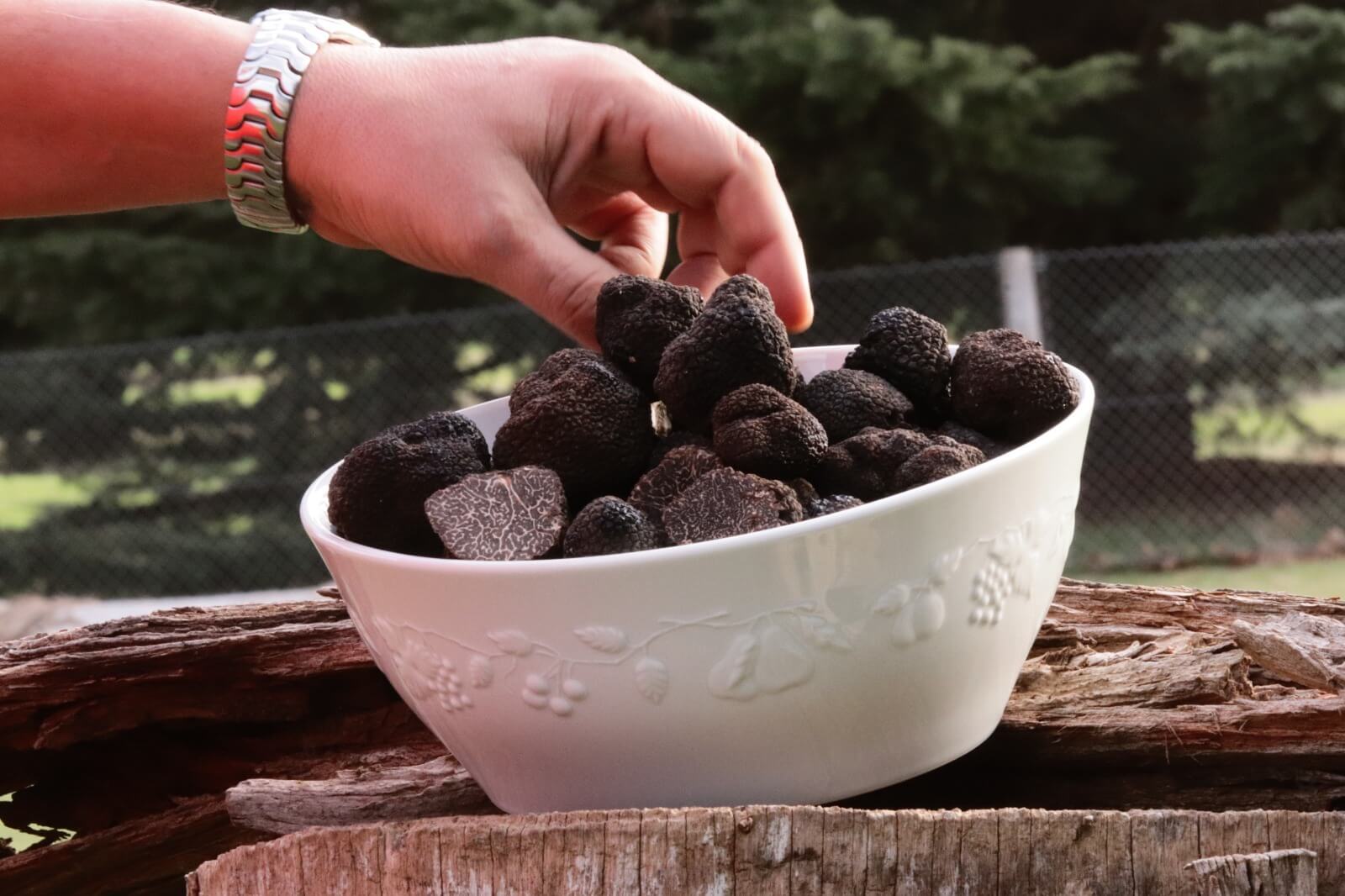 Es uno de los pioneros de las trufas en Argentina y cuenta los secretos ...