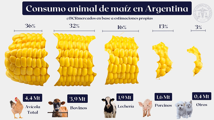 El maíz se transforma: el agregado de valor es récord, de la mano de la ...